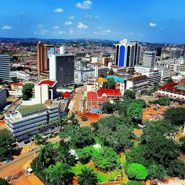 [Sekirangi Edward] | WDD 130